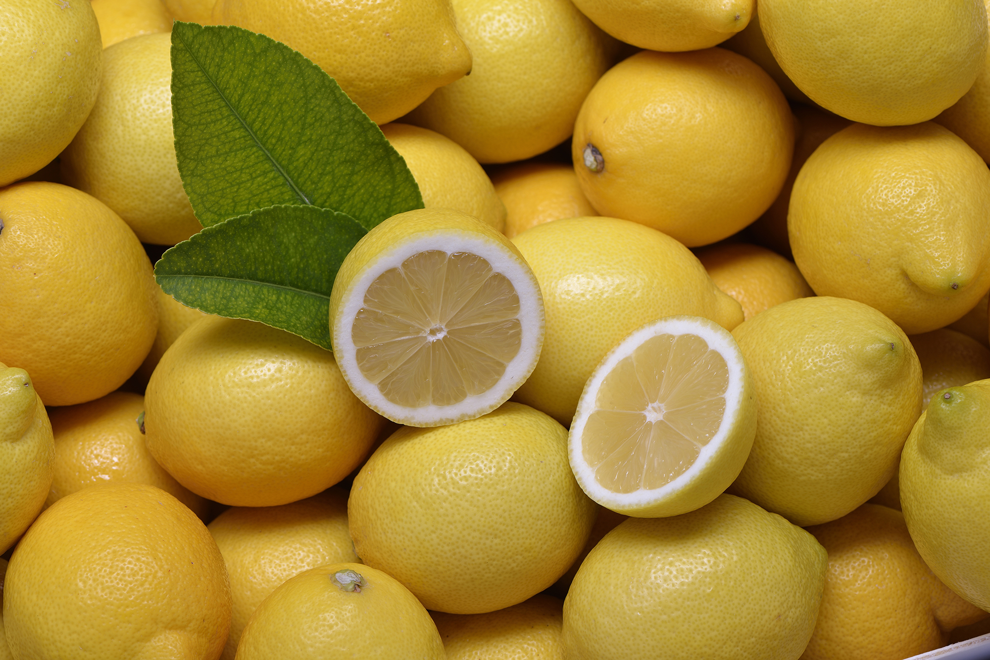 El limón, el gran aliado para cuidar la piel en invierno - Xemilla